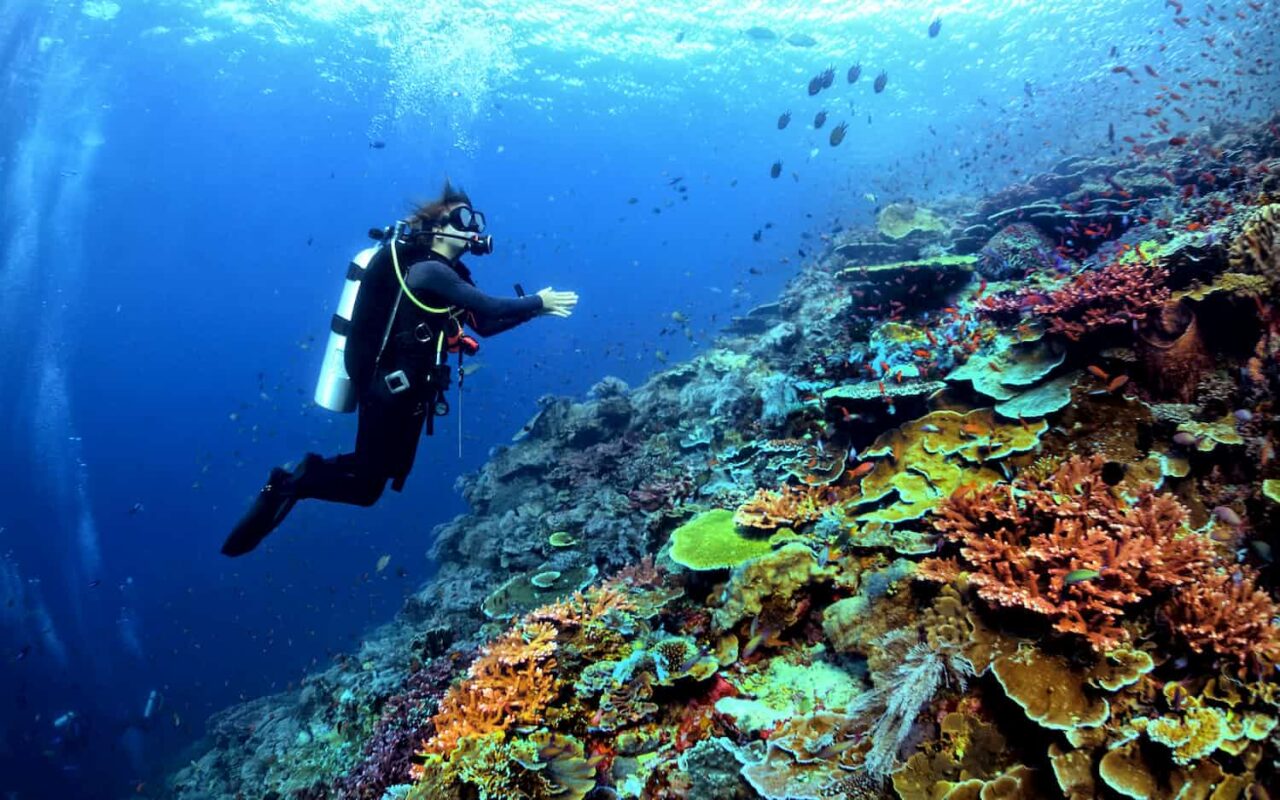 Fun Diving Gili Islands - Trawangan Dive
