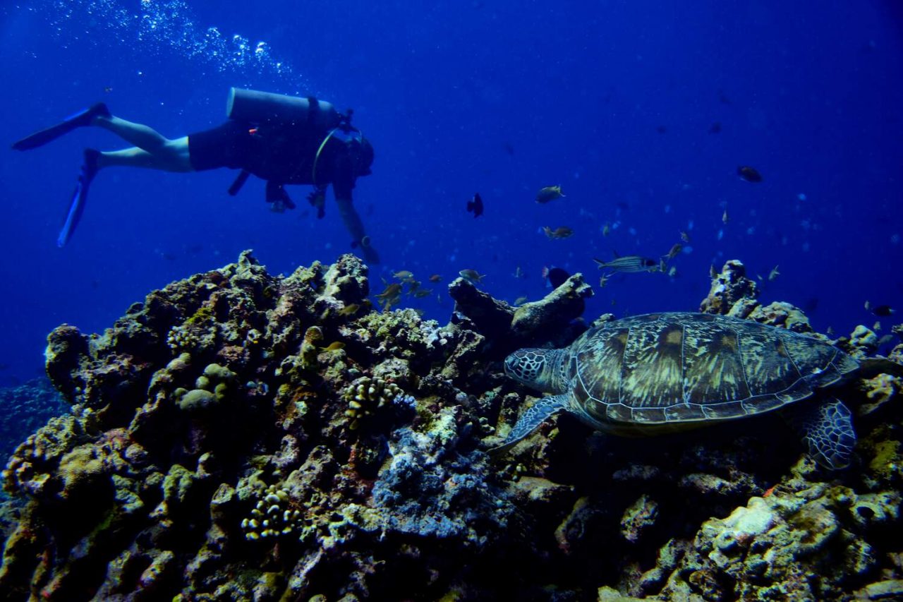 The best PADI Advanced Open Water Course - Gili Islands