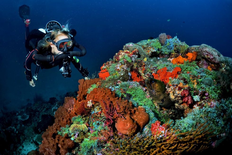 Tech Diving on Gili Islands - TDI Courses - Trawangan Dive
