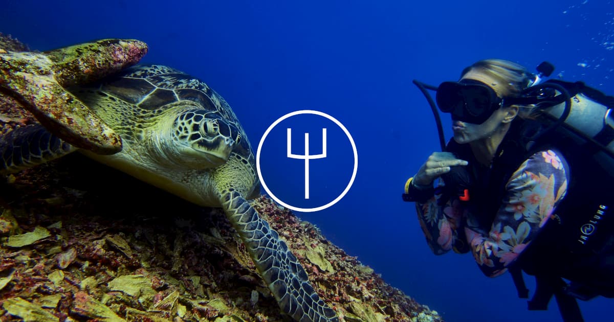Fun Diving Gili Islands - Trawangan Dive