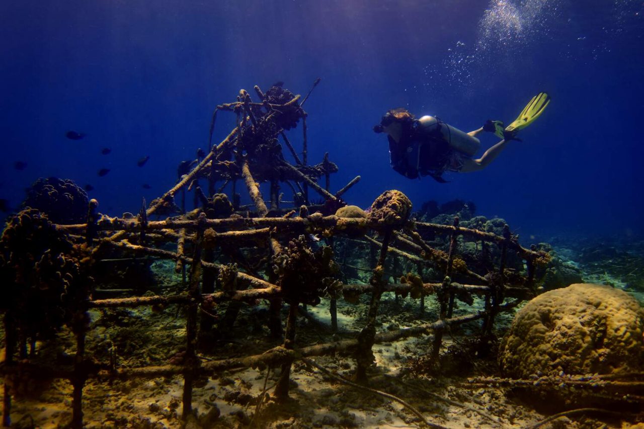 Introduction to the Biorock Process - Gili Islands
