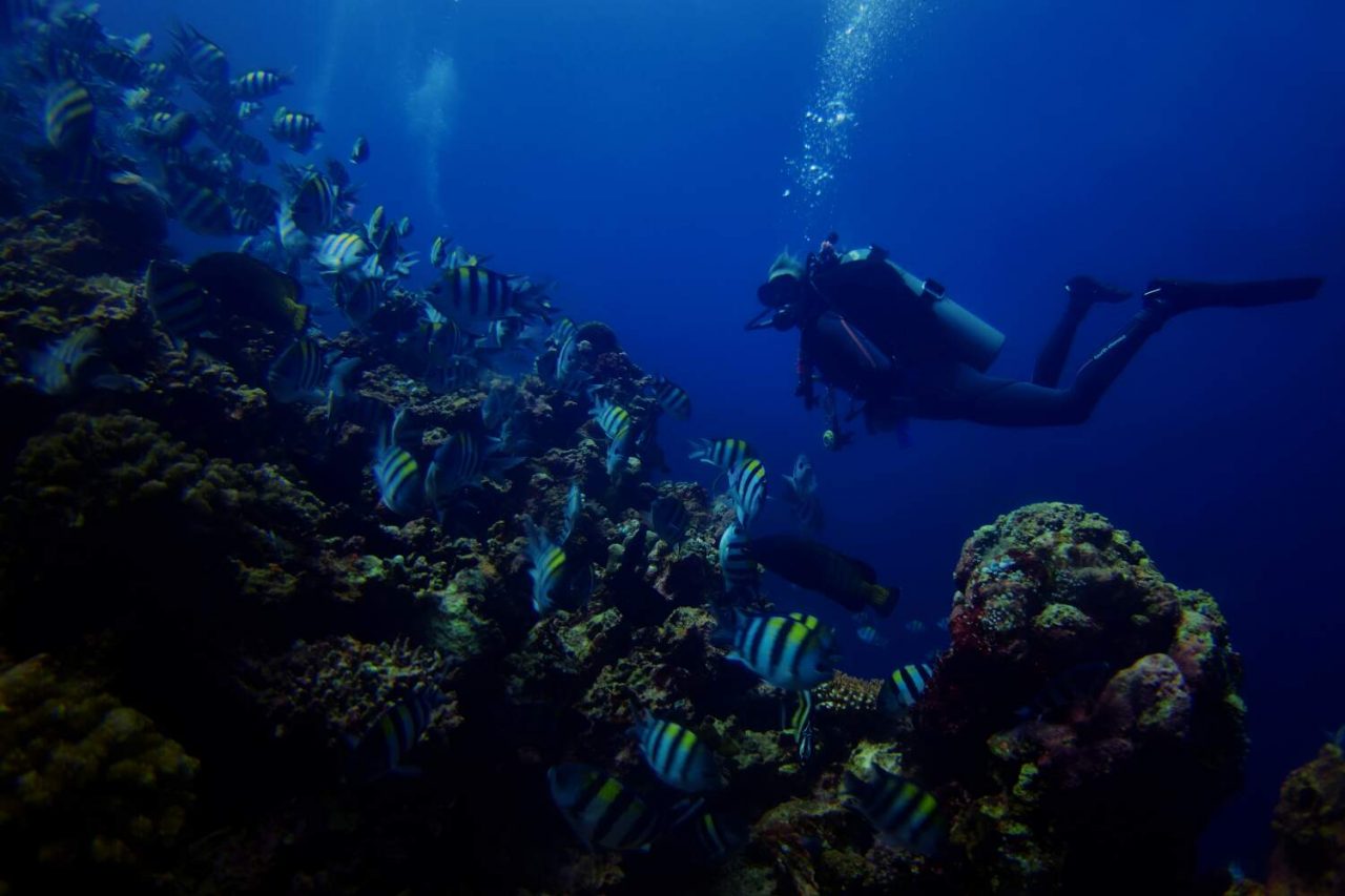 Best Dive sites on Gili Islands - Trawangan Dive